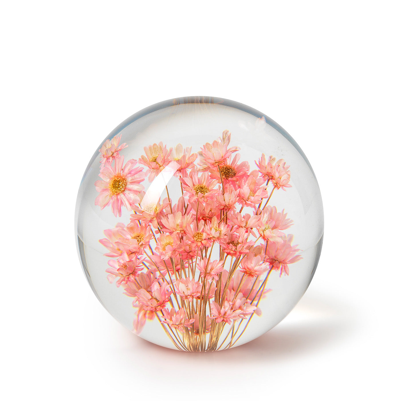 Fleur Paperweight, Light-Pink – In Flore